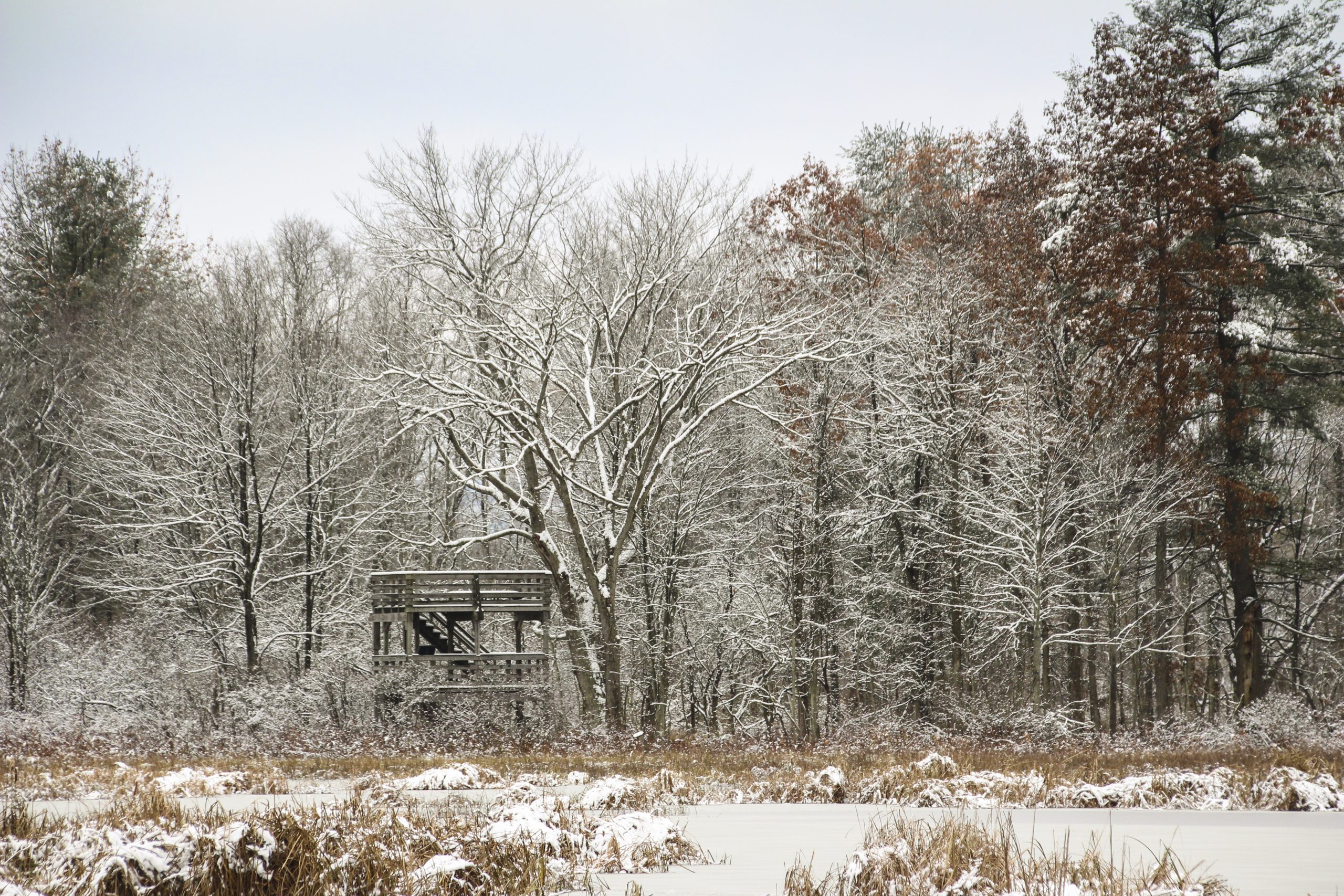 Winter, time and rest | News, Sports, Jobs - Observer Today